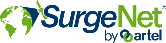 SurgeNet | Pay-As-You Go On-Demand Services | Artel | Secure Network ...